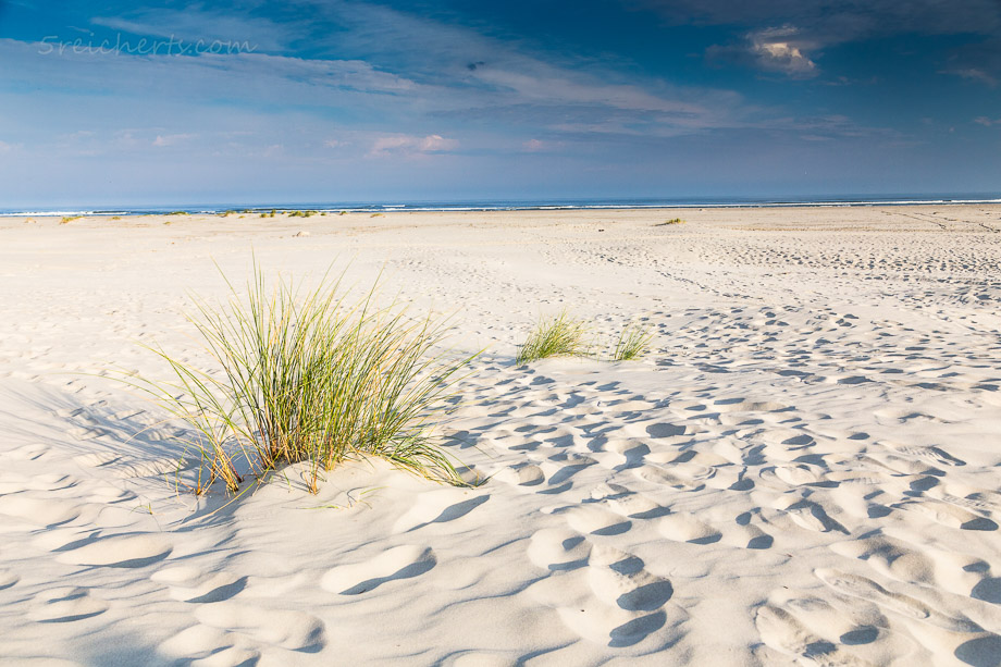Die niederländische Insel Ameland - 5reicherts